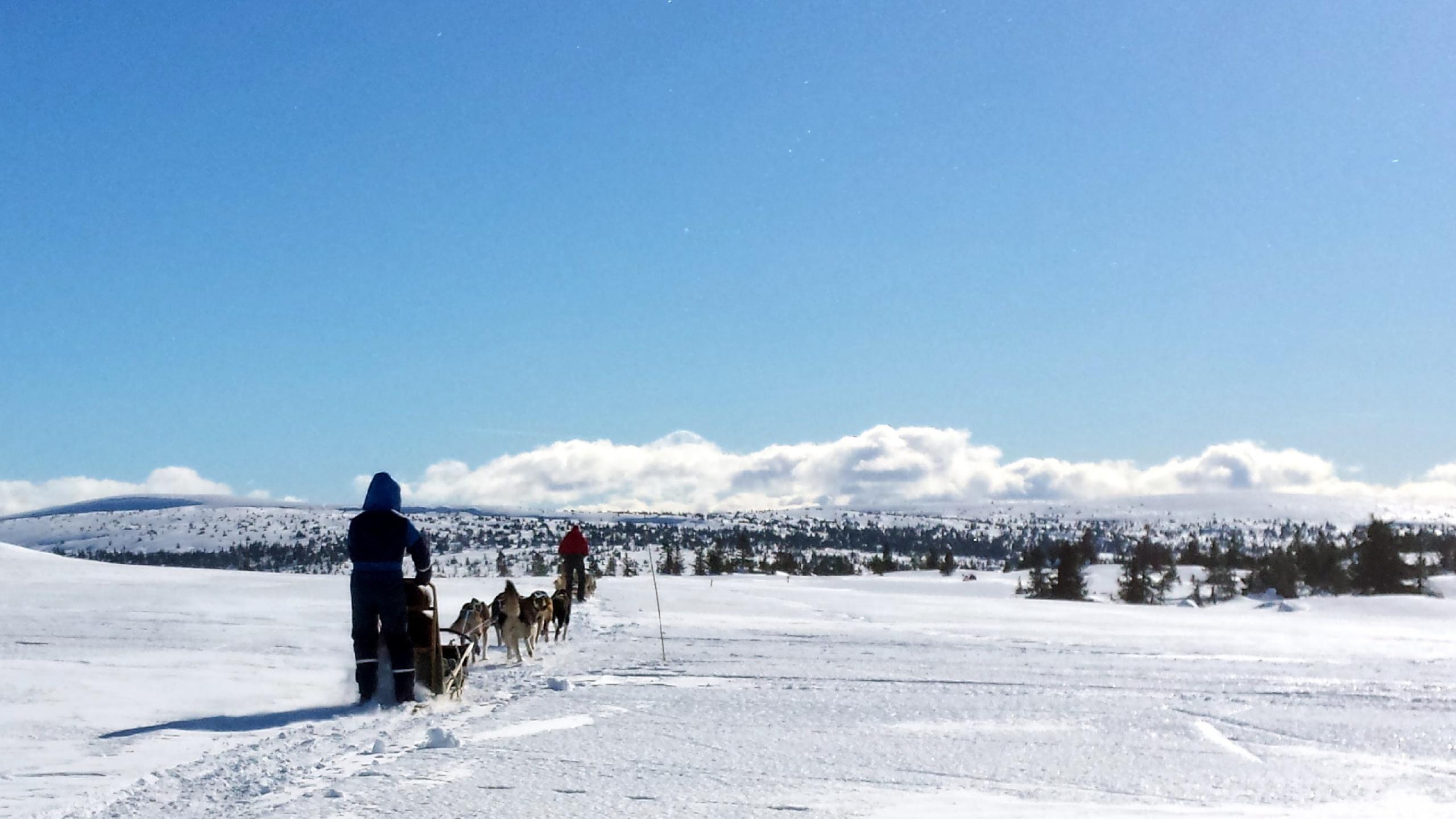 Skiurlaub im Skigebiet Sjusjøen : Skifahren mit ski-und-mehr.de