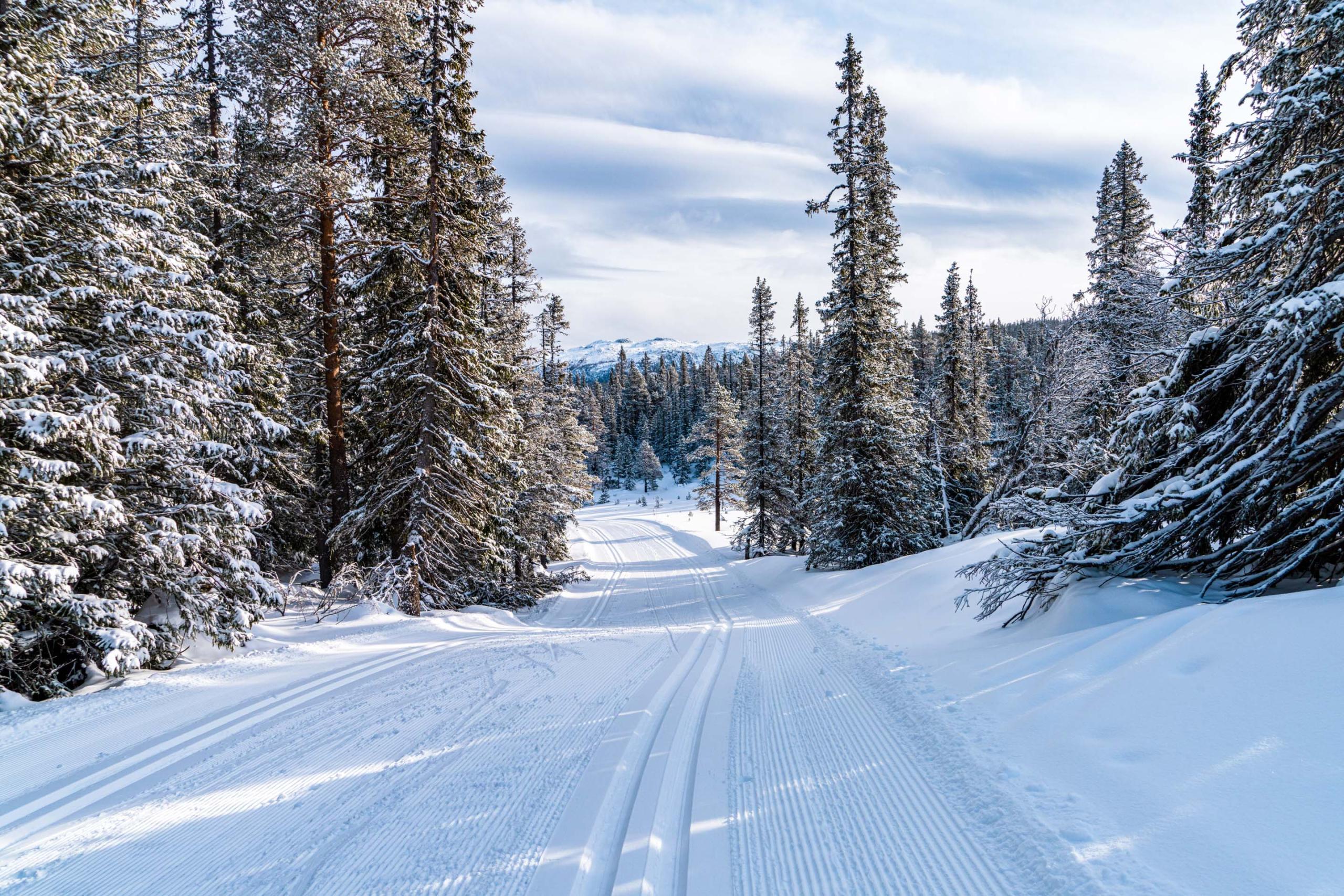 Skiurlaub im Skigebiet Gausta : Skifahren mit ski-und-mehr.de